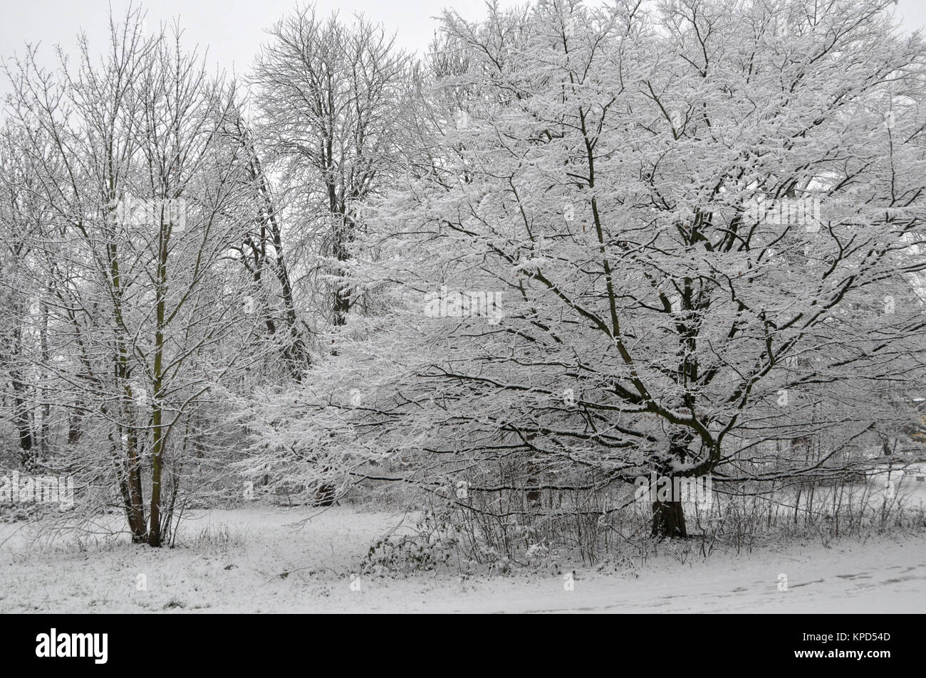 Winter landscape in Hanover Stock Photo - Alamy
