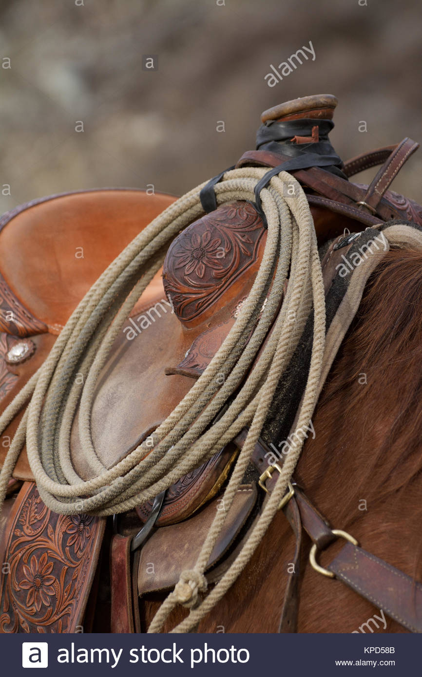 Cowboy Lasso Stock Photos & Cowboy Lasso Stock Images - Alamy