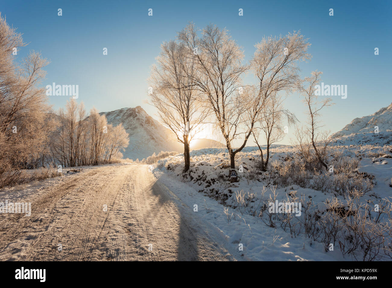 Frost snow scotland hi-res stock photography and images - Alamy