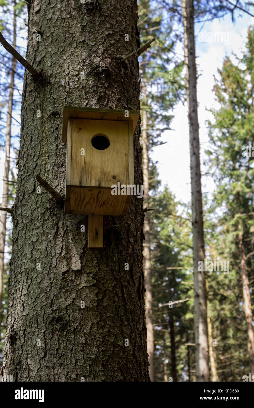 a nest box to a tree in the forest - a beautiful home for the next ...