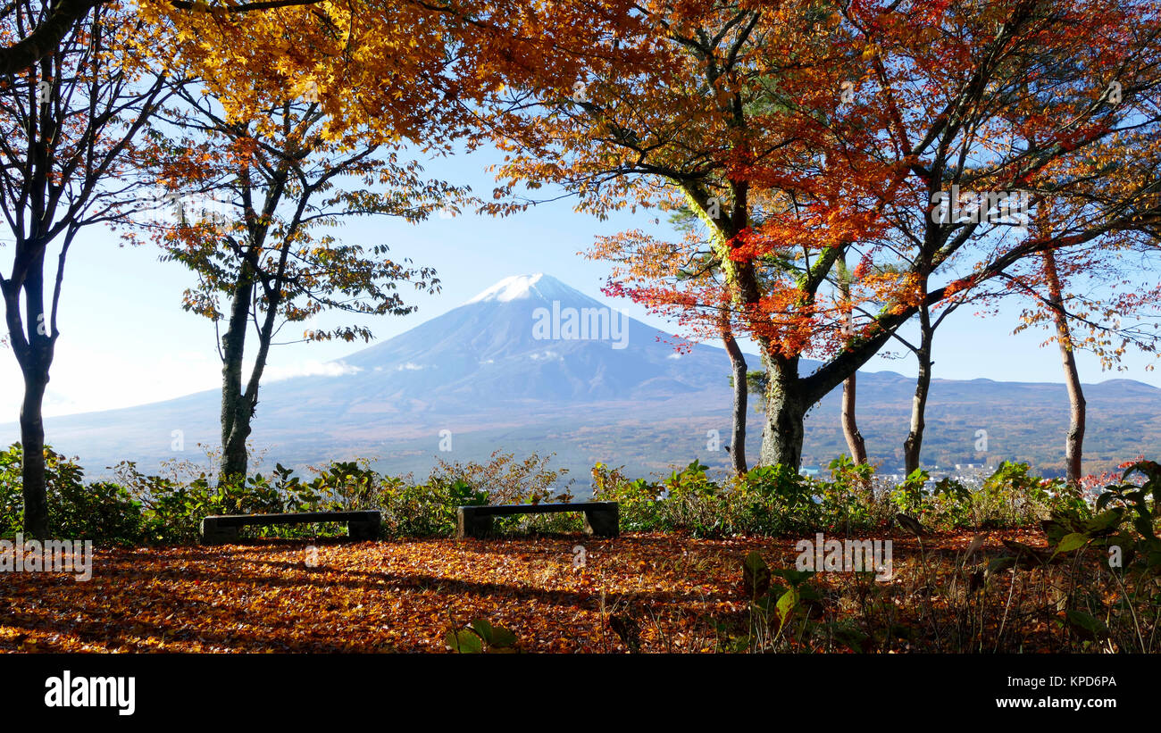 fall season of Fuji mountain Stock Photo - Alamy