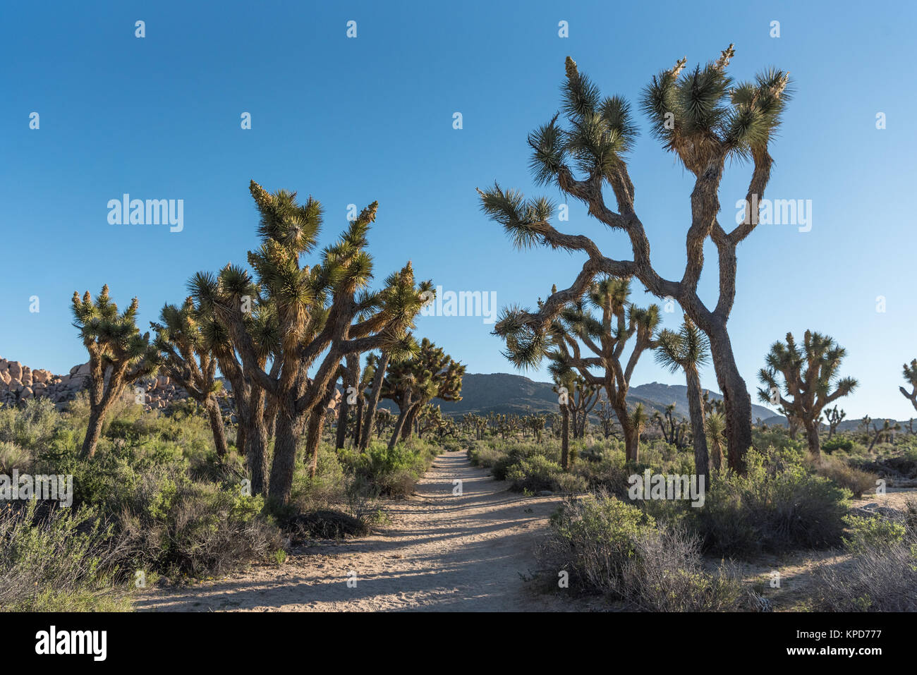 Big sandy pass trail hi-res stock photography and images - Alamy