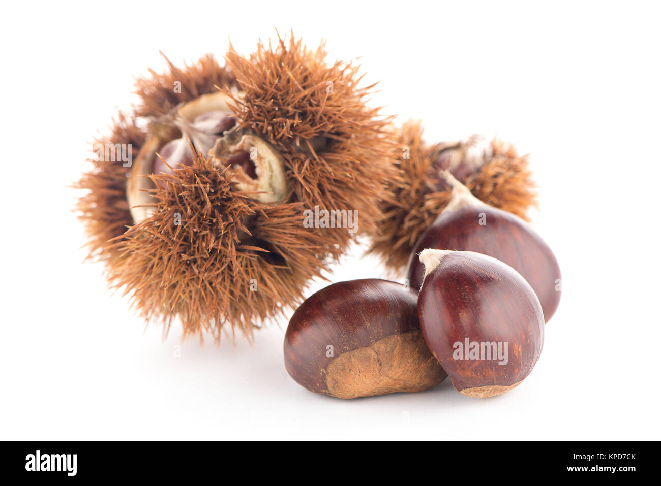 Chestnuts with shell Stock Photo - Alamy