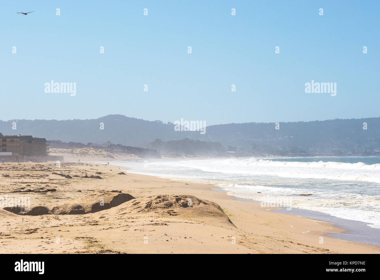 Del monte beach monterey hi-res stock photography and images - Alamy