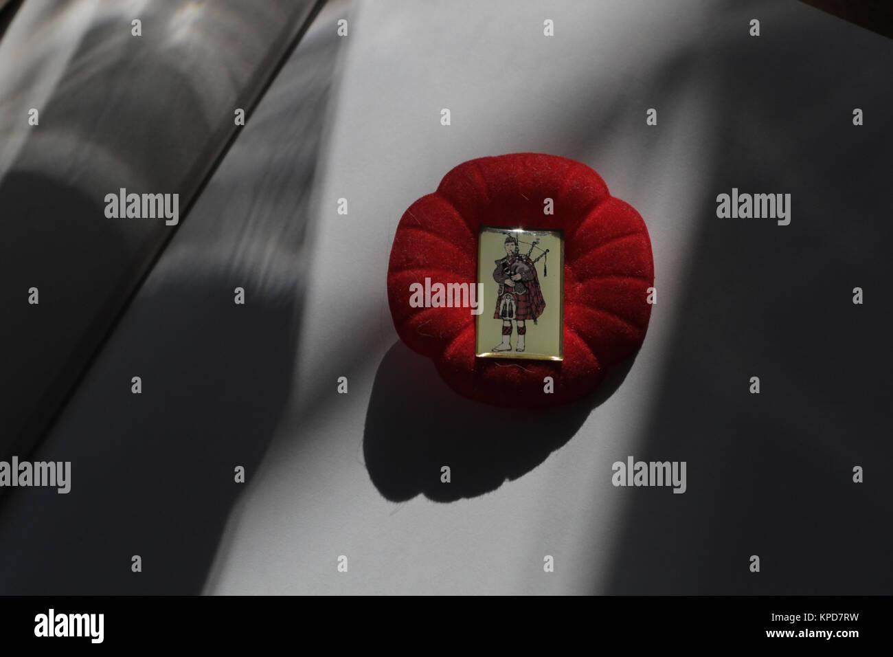 A poppy with a highlander pin for Remembrance Day in Canada Stock Photo ...