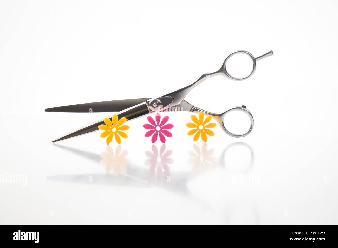 Time to cut,cut,section,divorce,divorce,separation,separation,cut ...