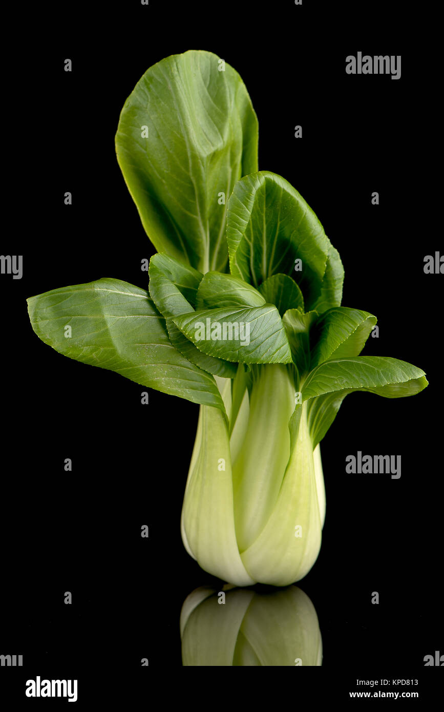 Pak choi on black Stock Photo - Alamy
