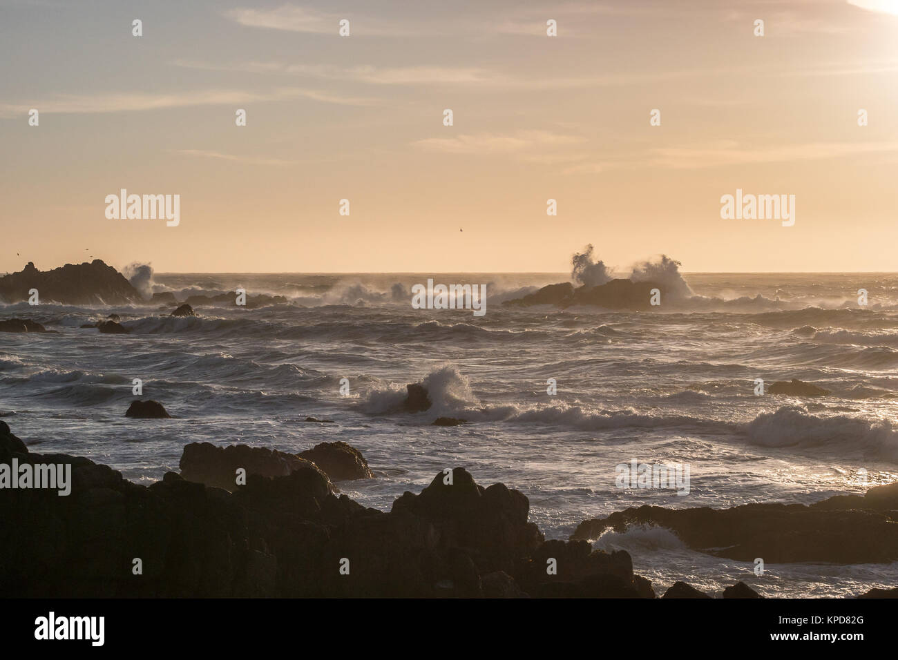 17th mile drive hi-res stock photography and images - Alamy