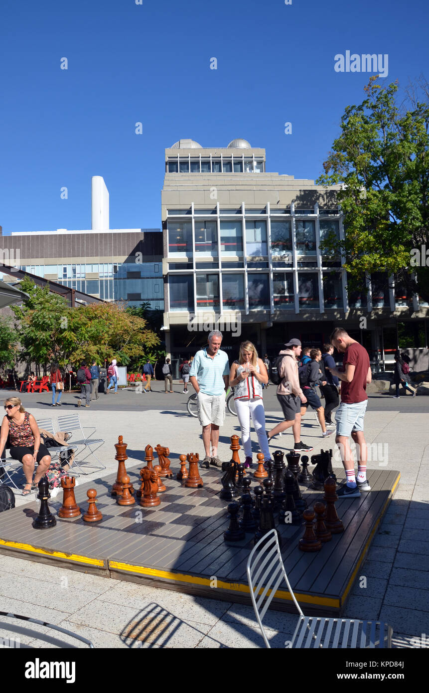 Giant chessboard outside the Science Center, The Plaza, Harvard ...