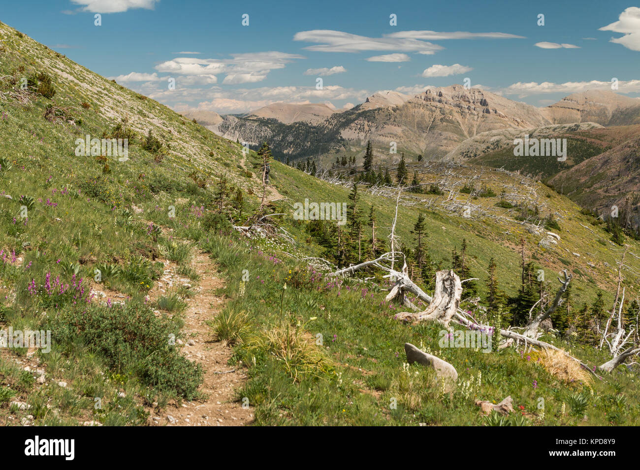 Bob Marshall Wilderness Complex High Resolution Stock Photography and ...