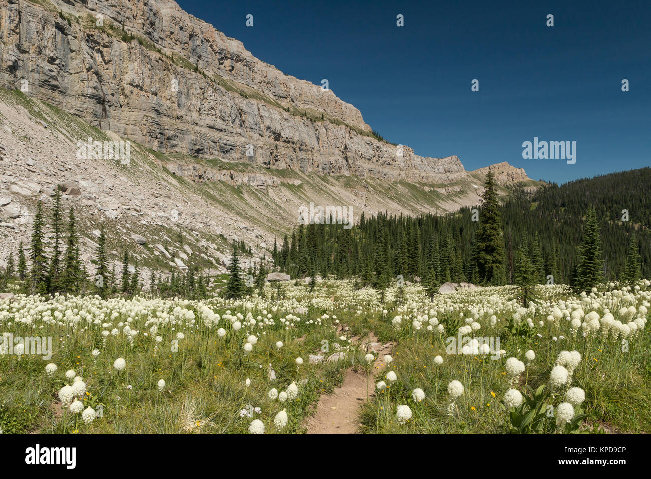 The Chinese Wall and Bear Grass in the Bob Marshall Wilderness, Montana ...