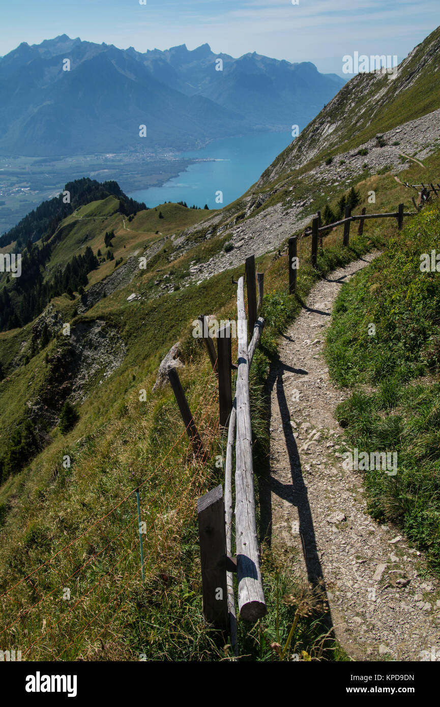 path in the Alps swiss Stock Photo - Alamy