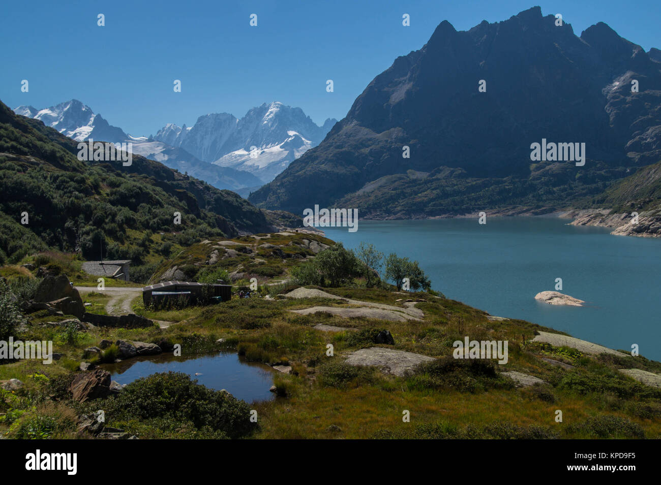 dam flower swiss Stock Photo - Alamy