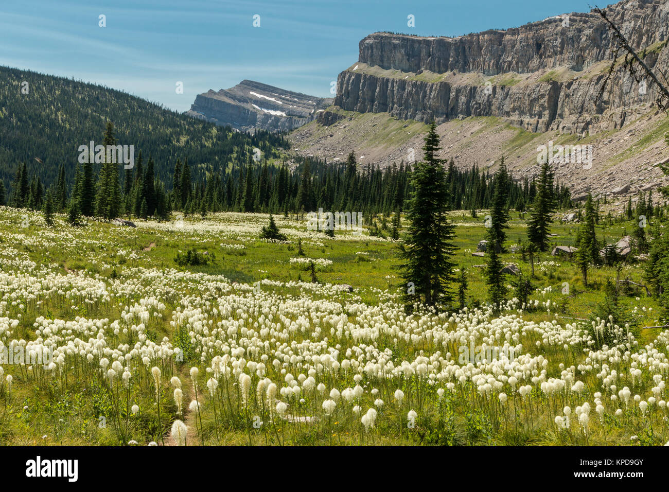 The Chinese Wall and Bear Grass in the Bob Marshall Wilderness, Montana ...