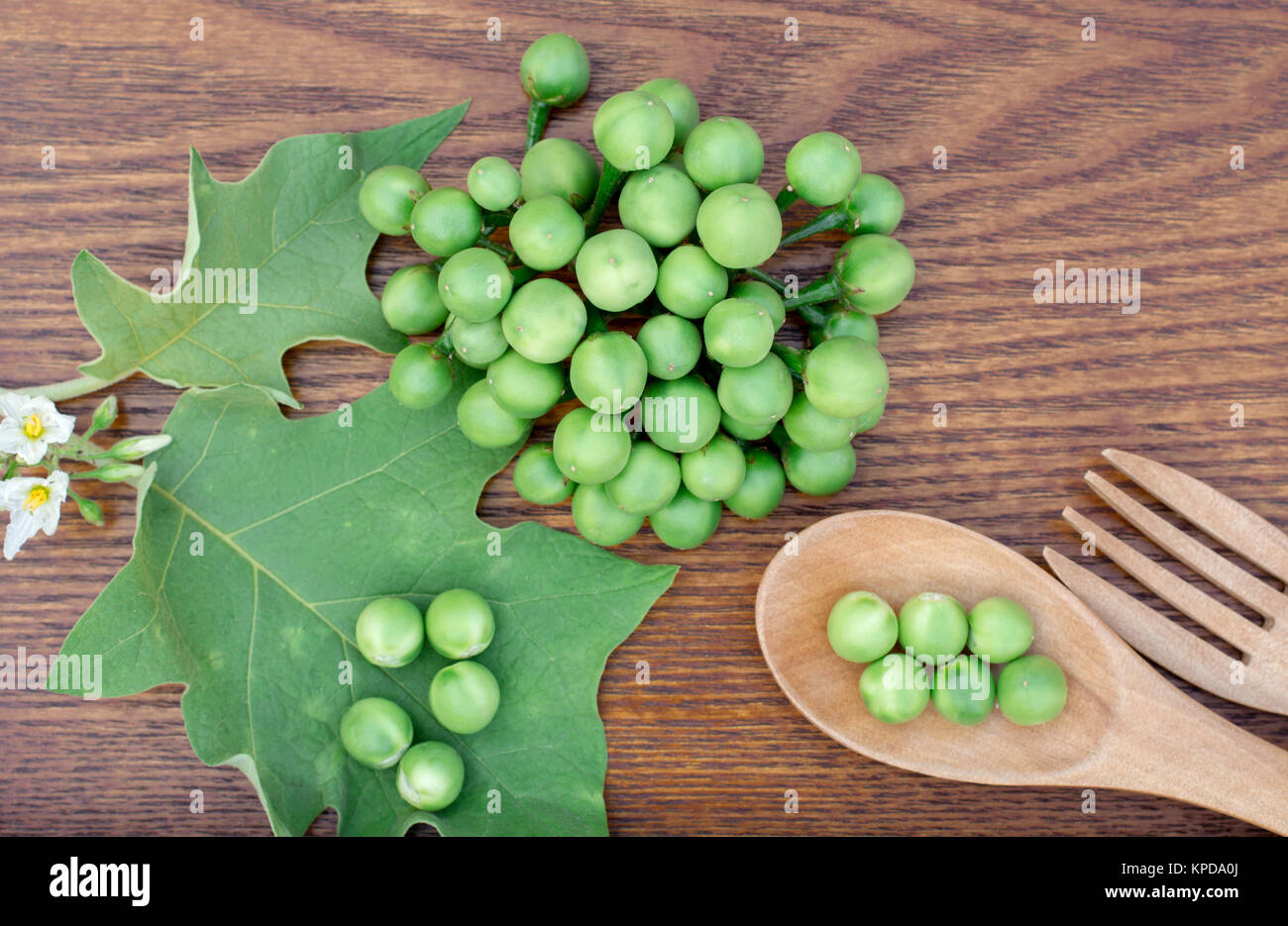 Turkey berry,Vegetables are popular in Thailand Stock Photo - Alamy
