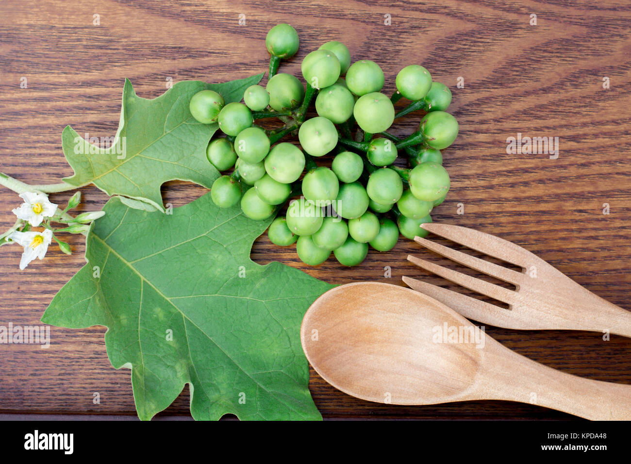 Turkey berry,Vegetables are popular in Thailand Stock Photo - Alamy