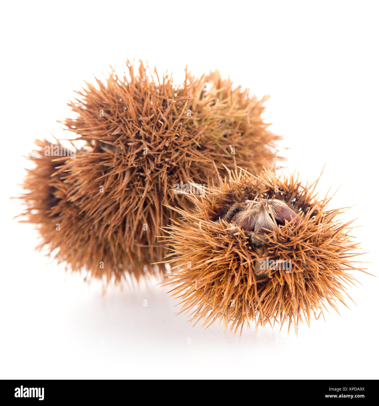 Chestnuts with shell Stock Photo - Alamy
