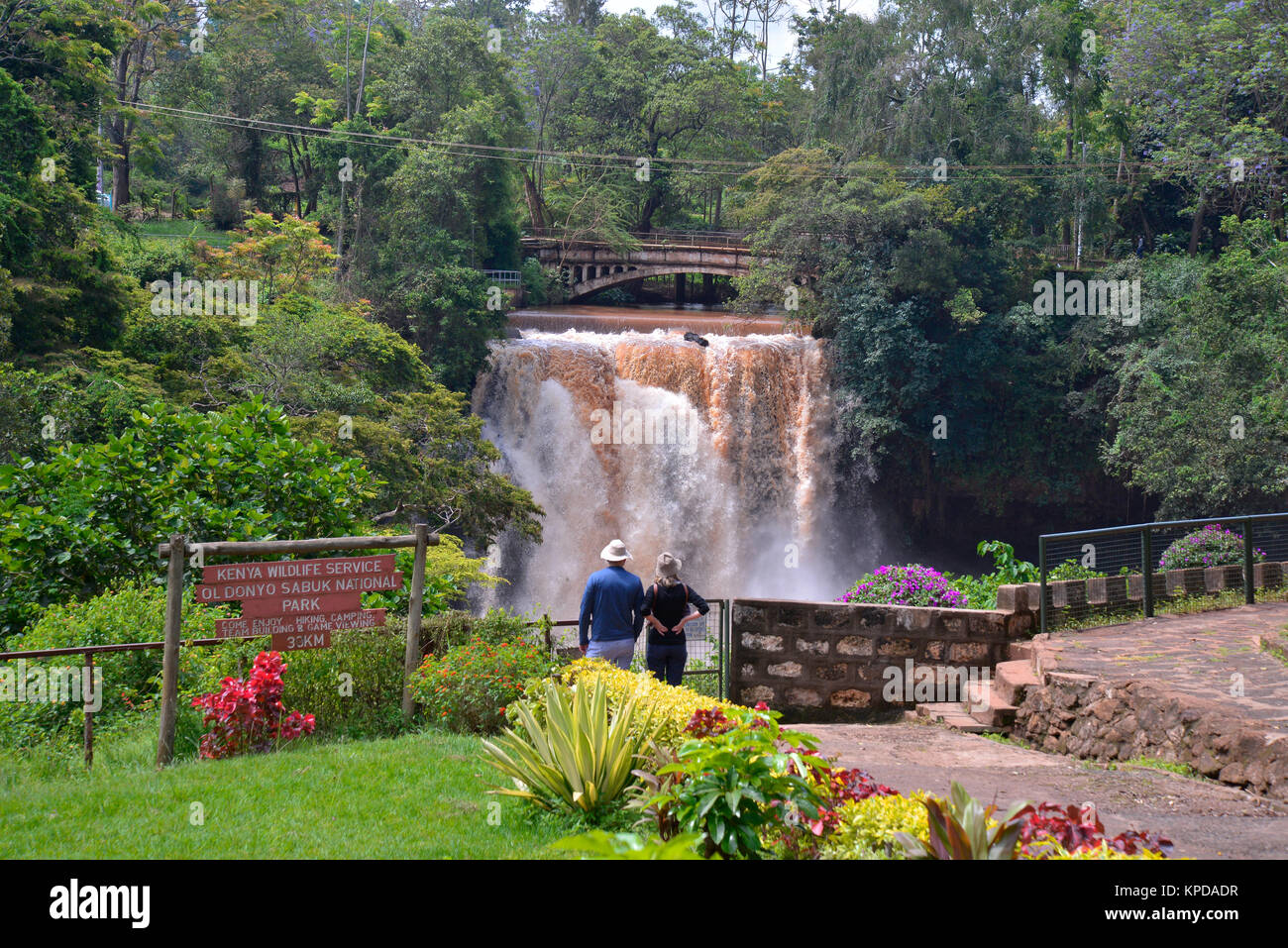 Purple bougainvillea flowewrs hi-res stock photography and images - Alamy