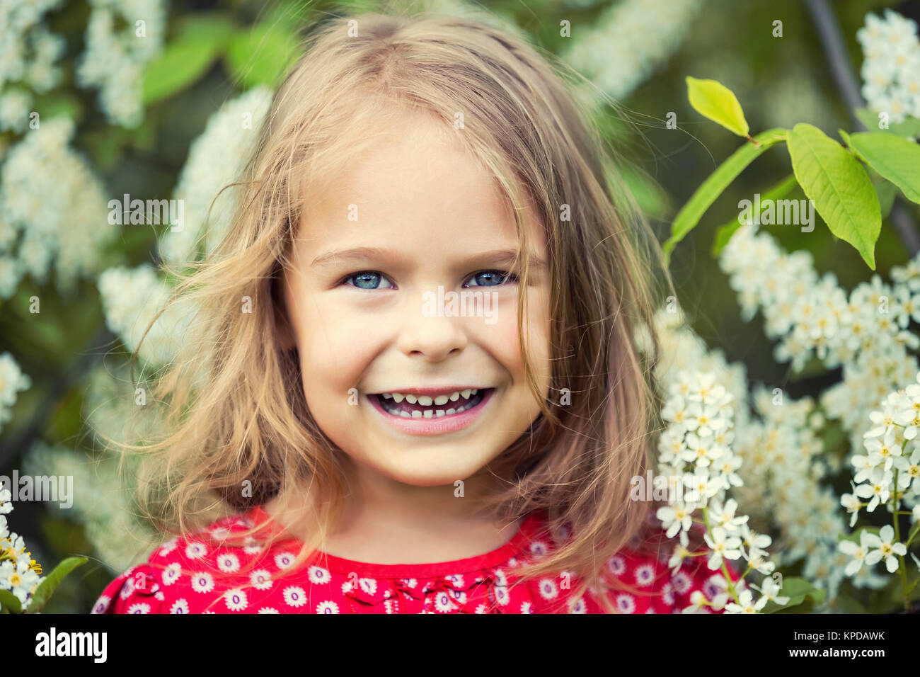 Little girl in spring flowers Stock Photo - Alamy