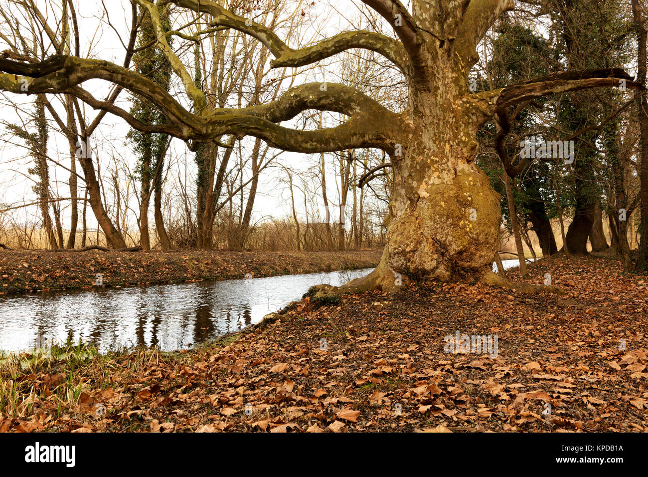 Next to balaton hi-res stock photography and images - Alamy