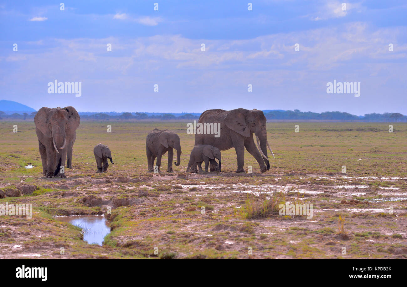 Kenya is a prime tourist destination in East Africa. Famous for ...