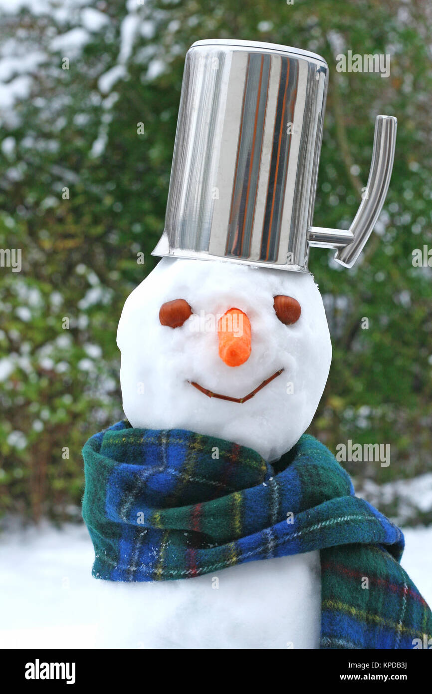 snowman mit pot on his head and checkered scarf, green background Stock ...