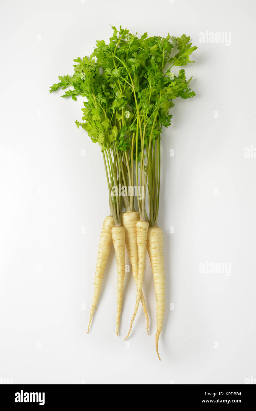 fresh parsley roots Stock Photo - Alamy