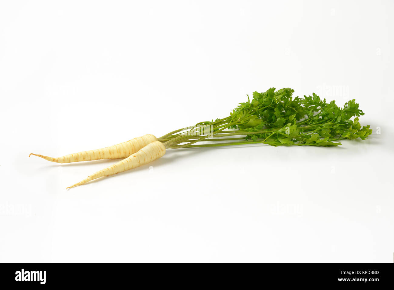 fresh parsley roots Stock Photo - Alamy