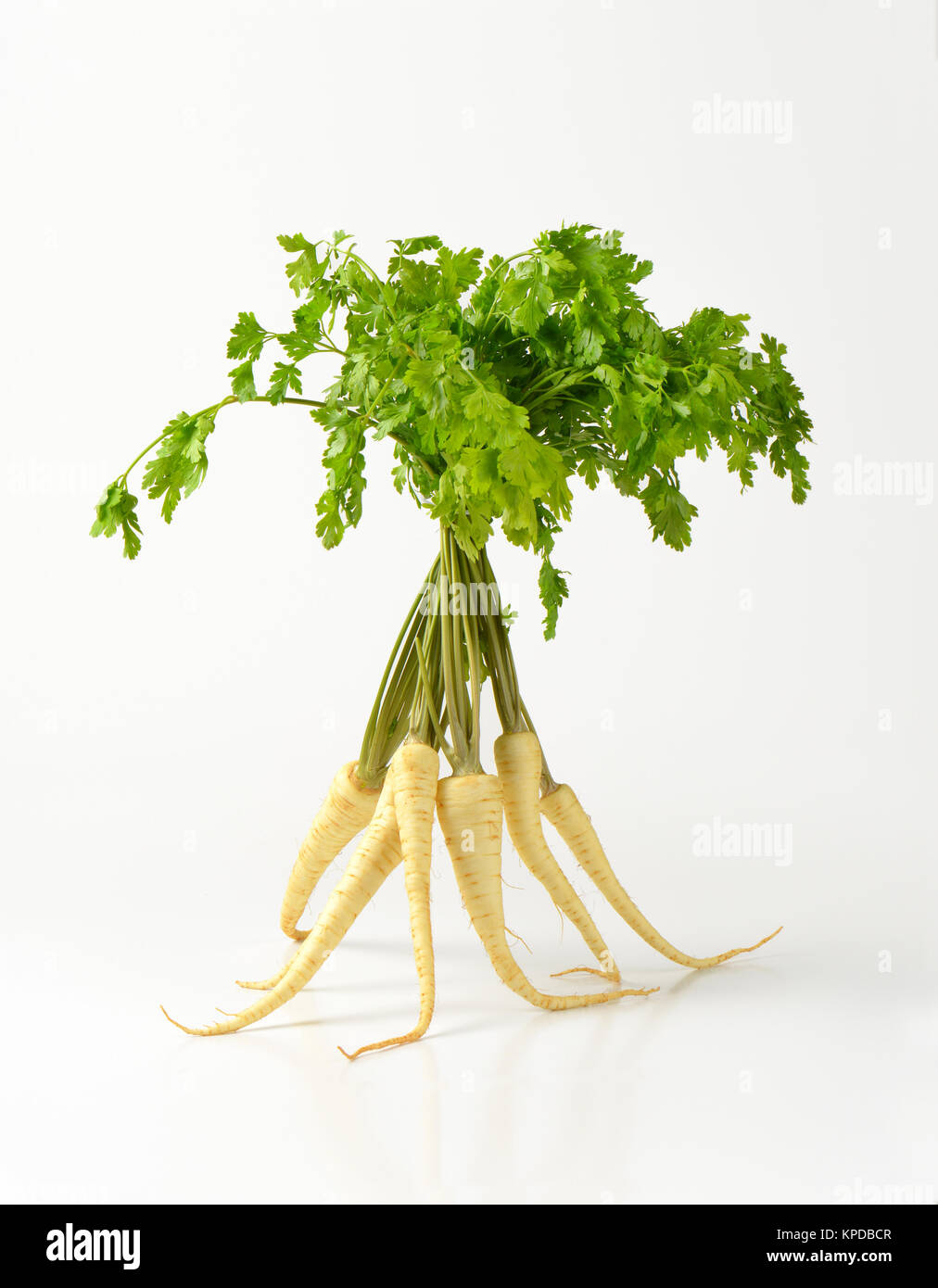 bunch of parsley roots Stock Photo - Alamy