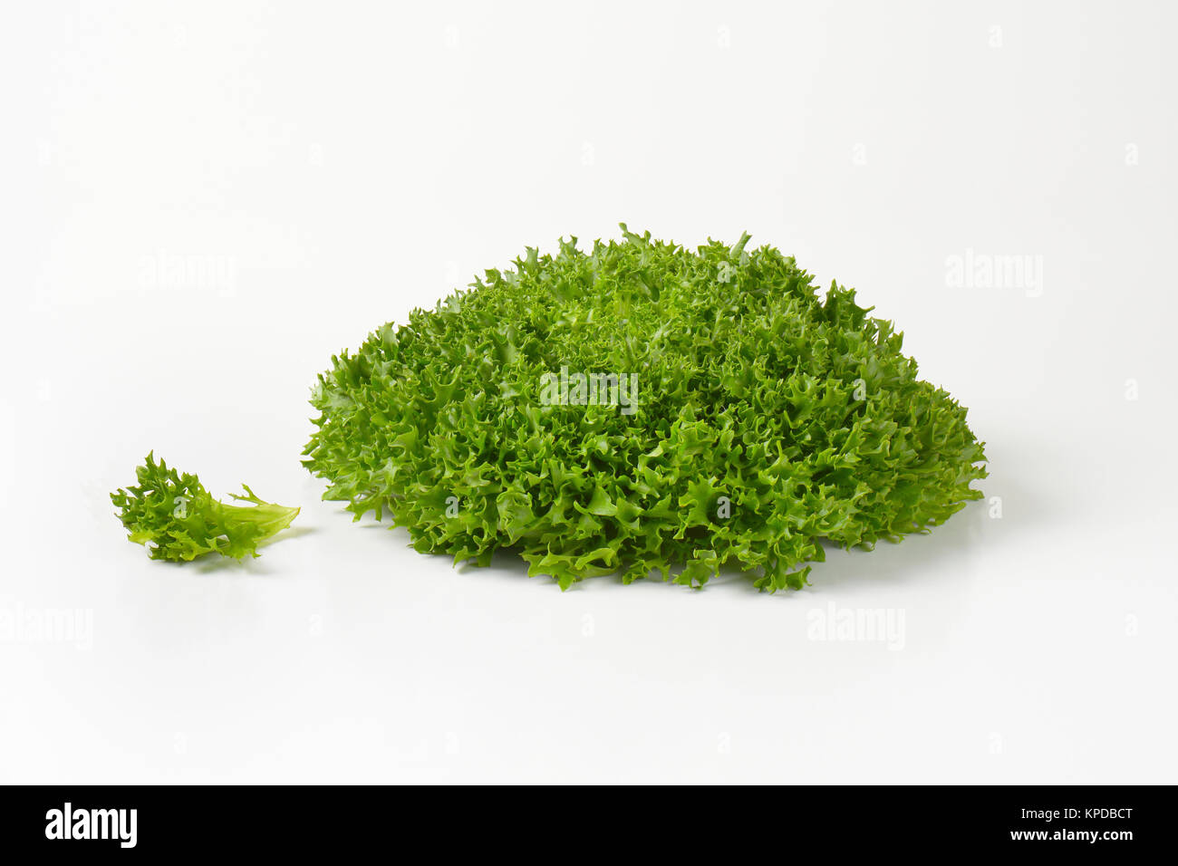 Lettuce Lollo Bionda Stock Photo - Alamy