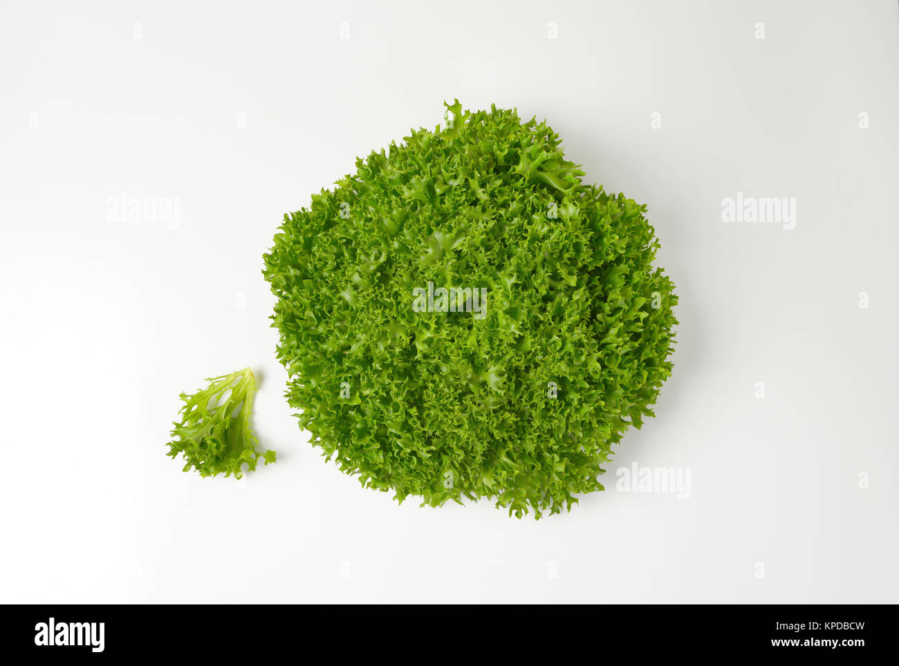 Lettuce Lollo Bionda Stock Photo - Alamy