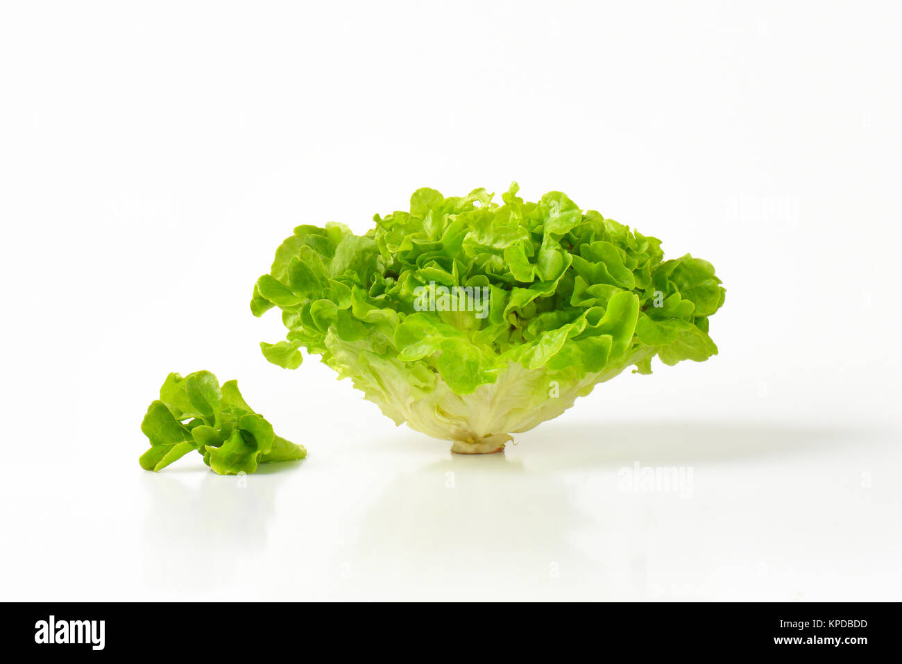 fresh Butterhead lettuce Stock Photo - Alamy