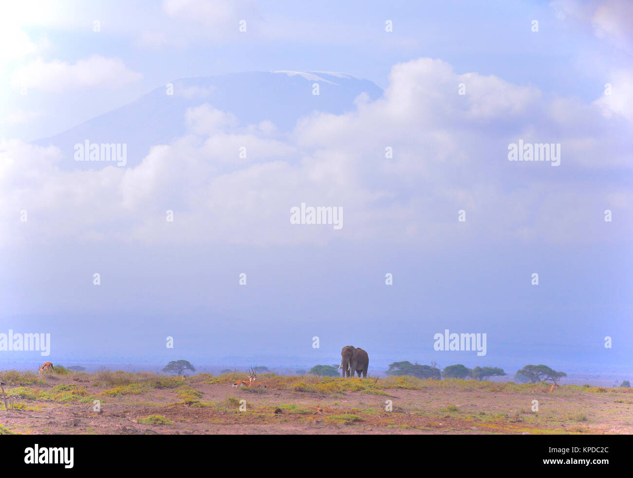 Kenya is a prime tourist destination in East Africa. Famous for ...