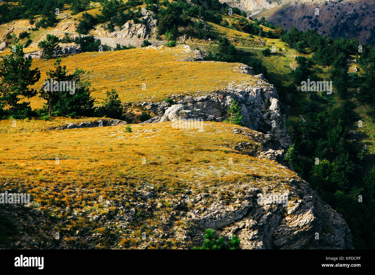 Autumn mountain plateau and green coniferous forests Stock Photo - Alamy
