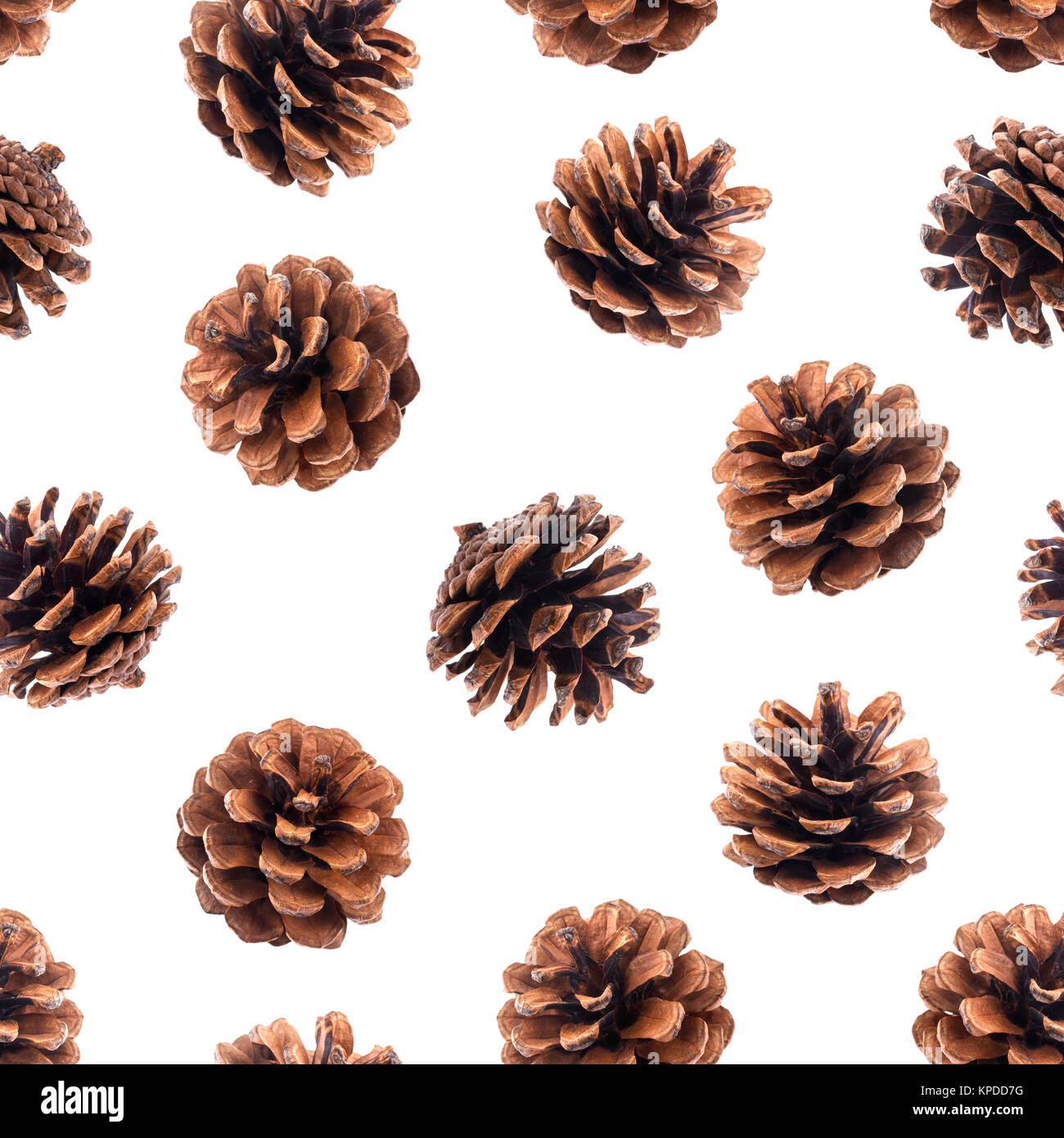 Pinecone pattern hi-res stock photography and images - Alamy