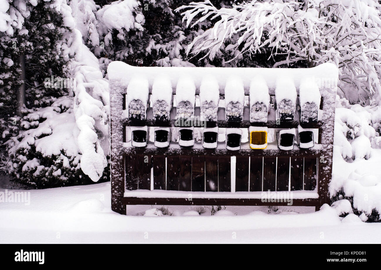 Multiple mailboxes covered in snow. One yellow paper box standands out ...