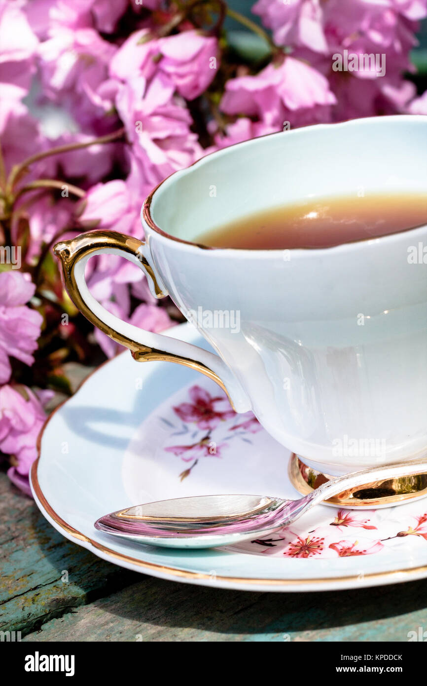 Beautiful, English, vintage teacup with Japanese cherry tree blossoms ...