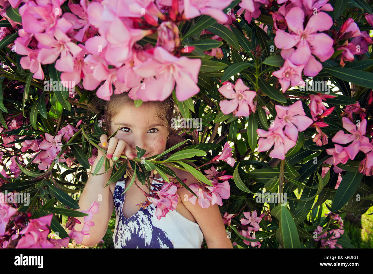 Little girl behind oleander flower Stock Photo - Alamy