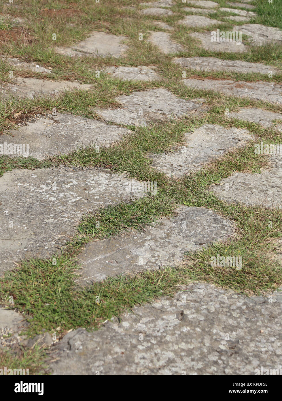Via salaria road hi-res stock photography and images - Alamy