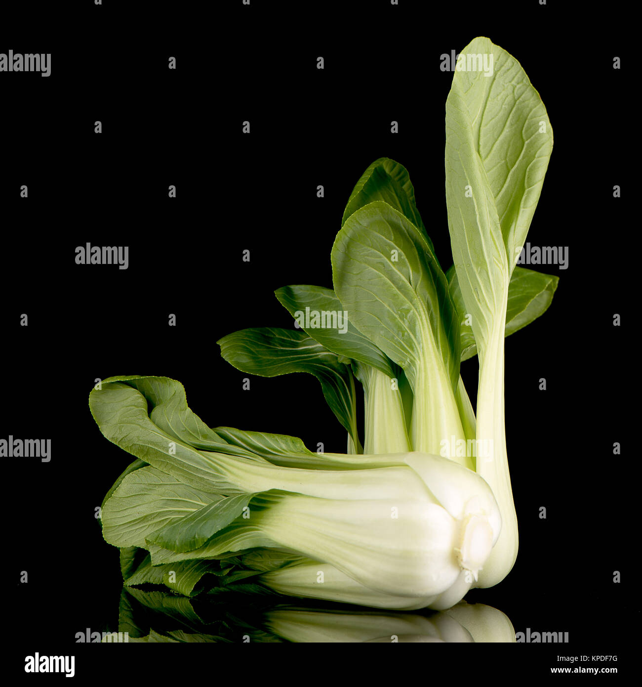 Pak choi on black Stock Photo - Alamy