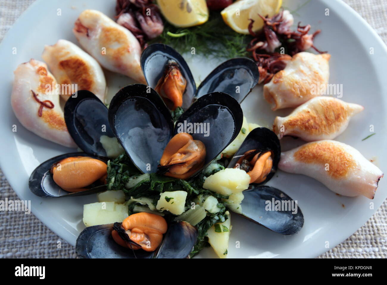 Adriatic sea mussels hi-res stock photography and images - Alamy