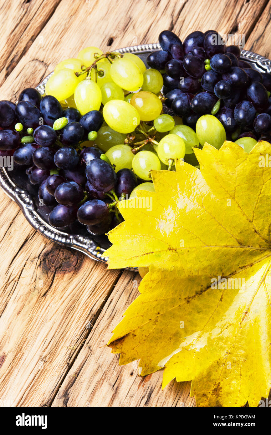 Bunches of ripe autumn grapes on retro tray Stock Photo - Alamy