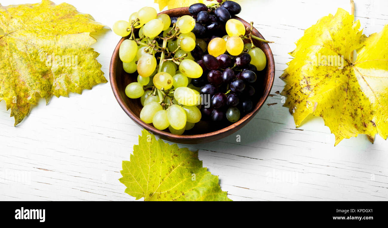 Bunches of ripe autumn grapes on retro tray Stock Photo - Alamy