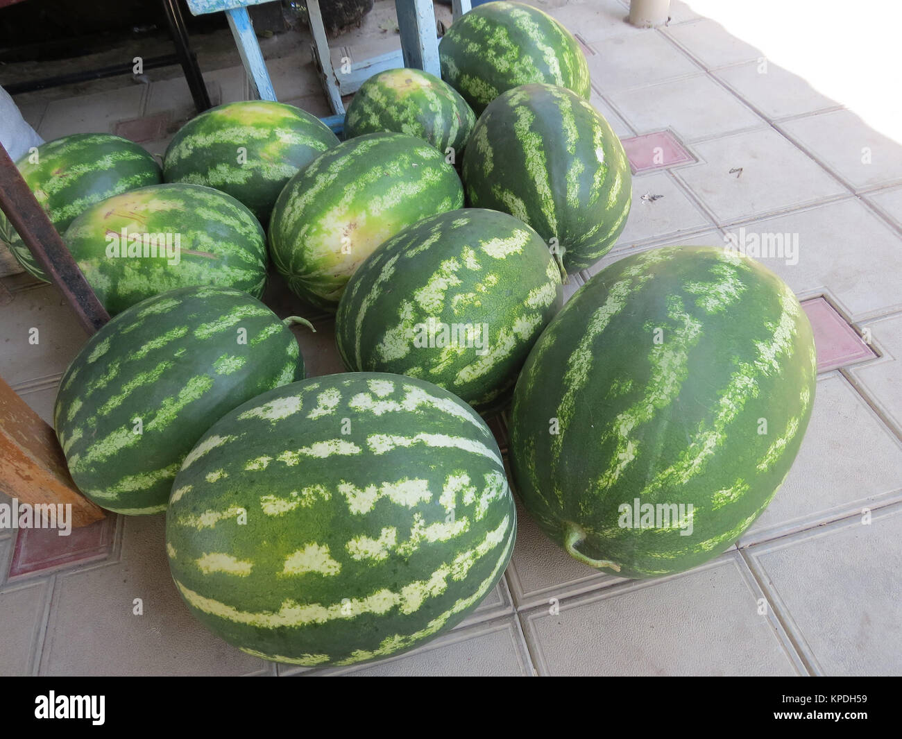 The harvest of watermelons in yard on the tile Stock Photo - Alamy