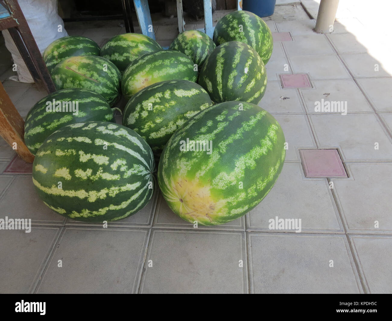 The harvest of watermelons in yard on the tile Stock Photo - Alamy