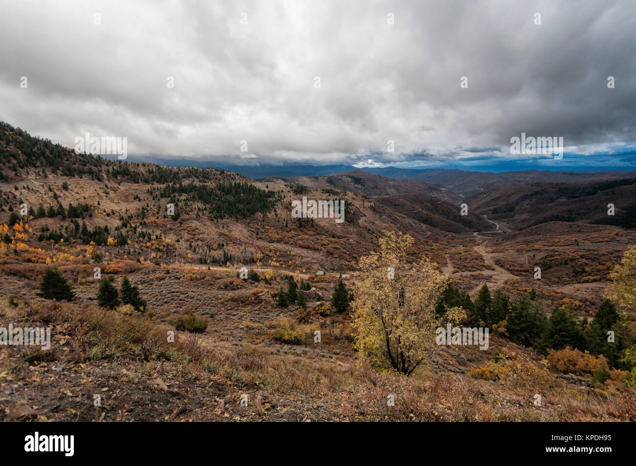 Landscape in Colorado Stock Photo - Alamy