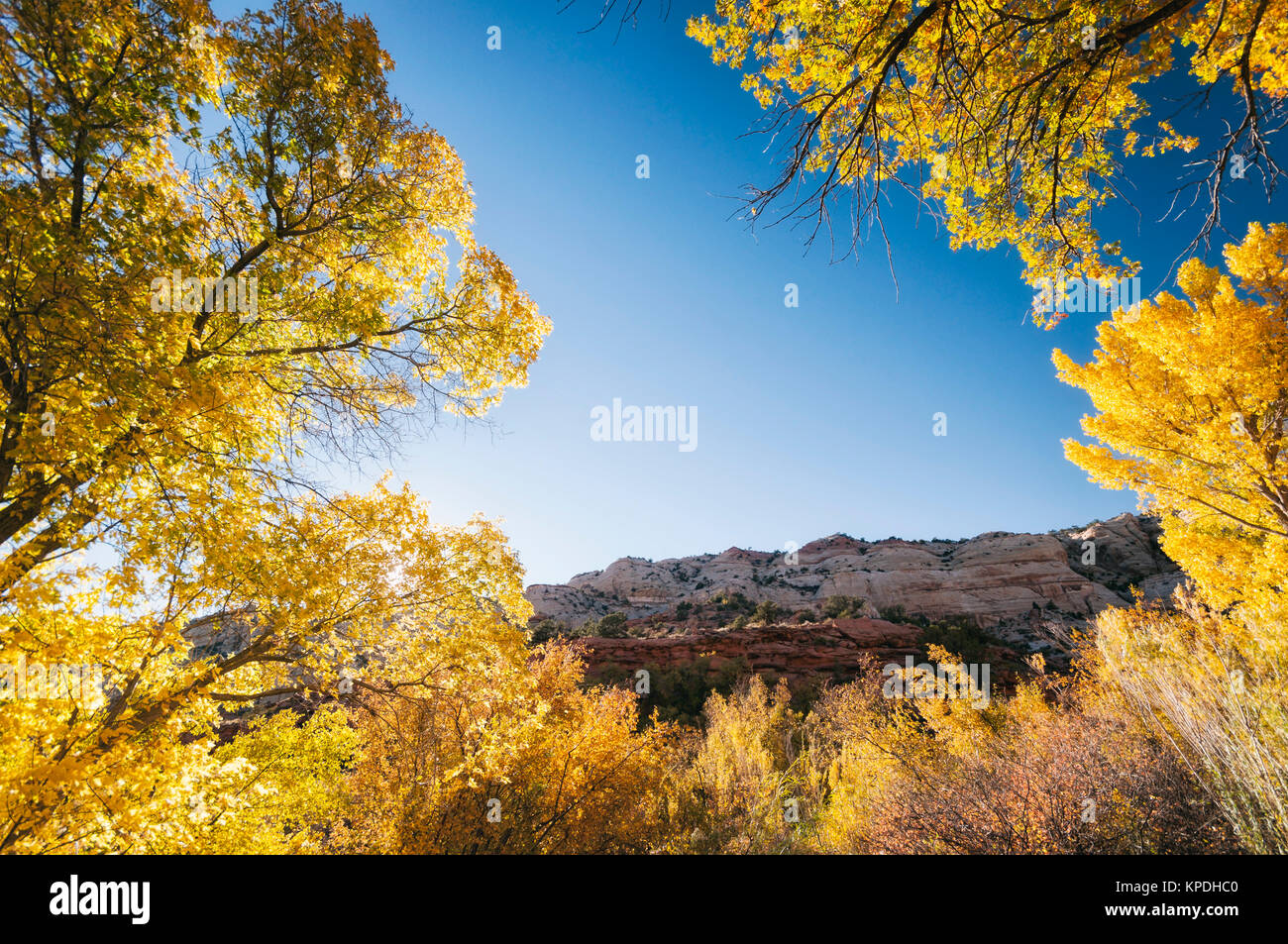 Landscape in Utah Stock Photo - Alamy
