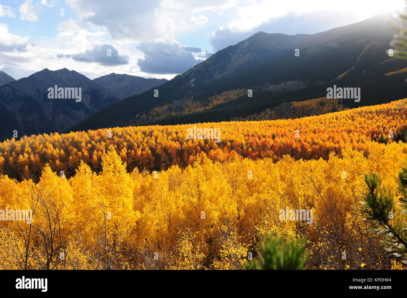 Sunset Aspen Valley - At base of Mount Elbert, the sun shines, from top ...