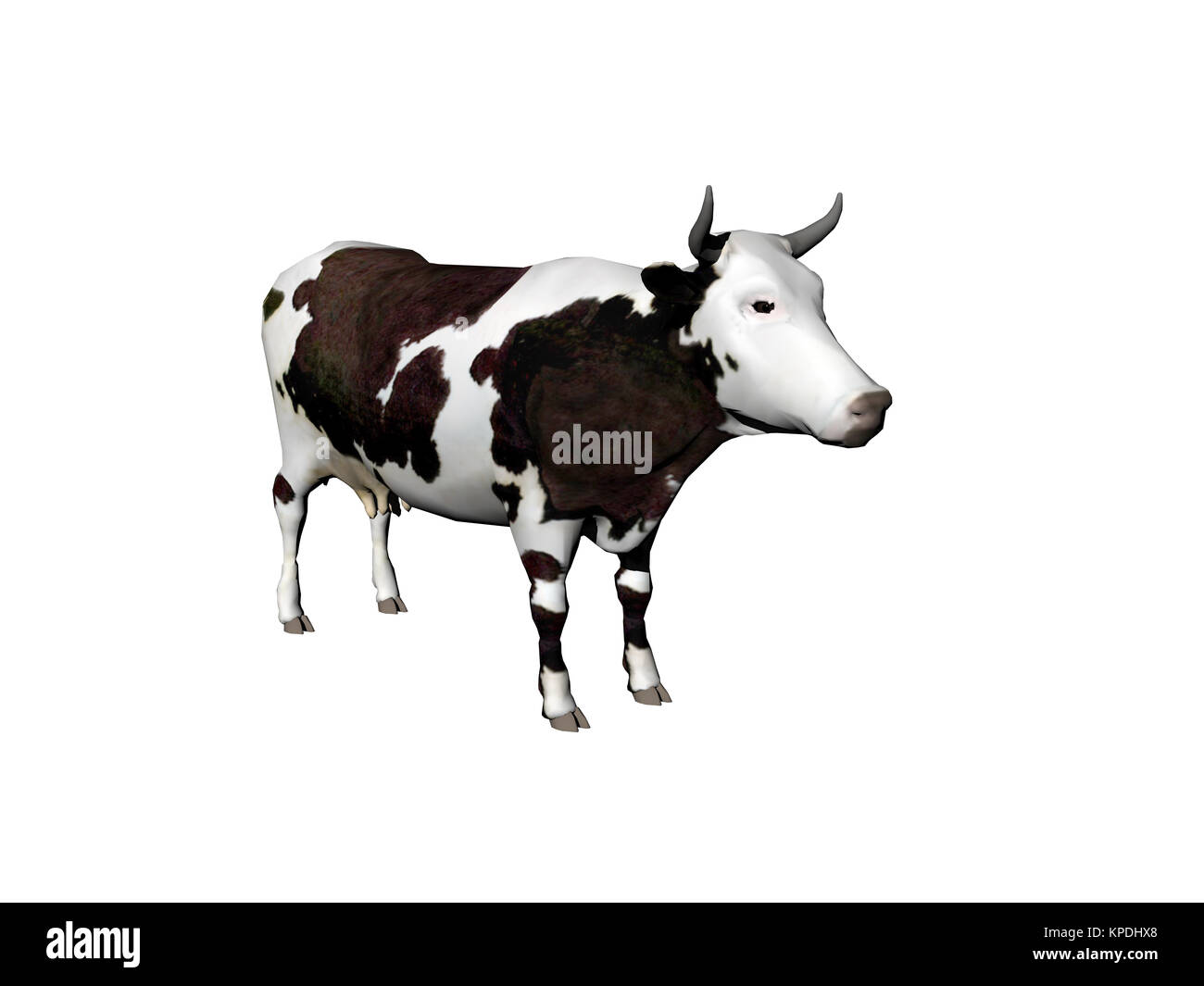 spotted cow exposed Stock Photo - Alamy