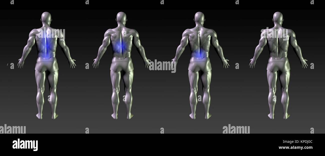 Spine vertebrae flexibility hi-res stock photography and images - Alamy